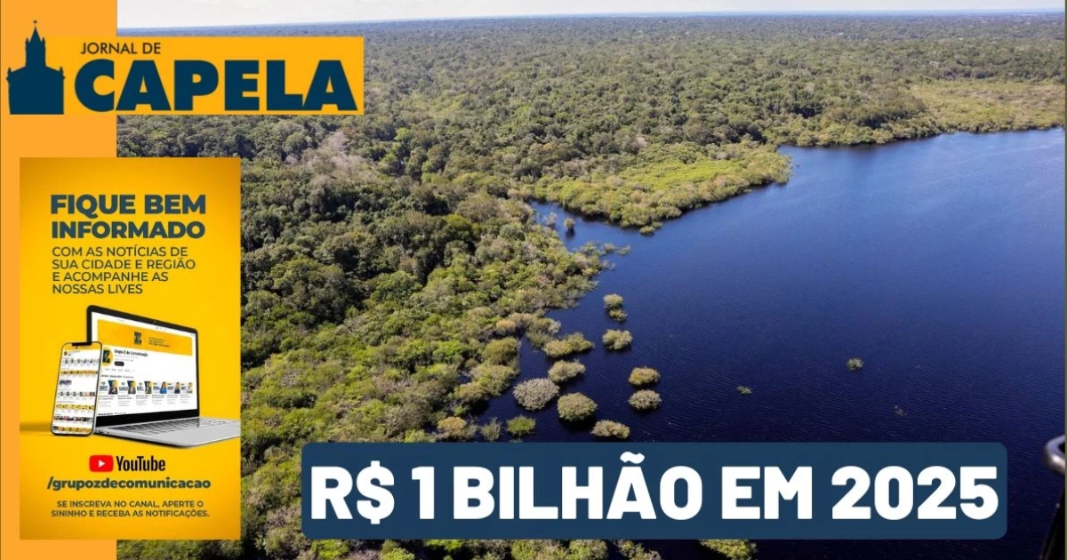 Fundo Amazônia bate recorde ao destinar mais de R$ 1 bilhão em 2025 ...